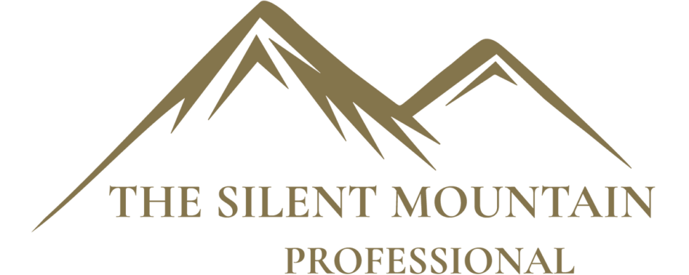 Startseite - The Silent Mountain